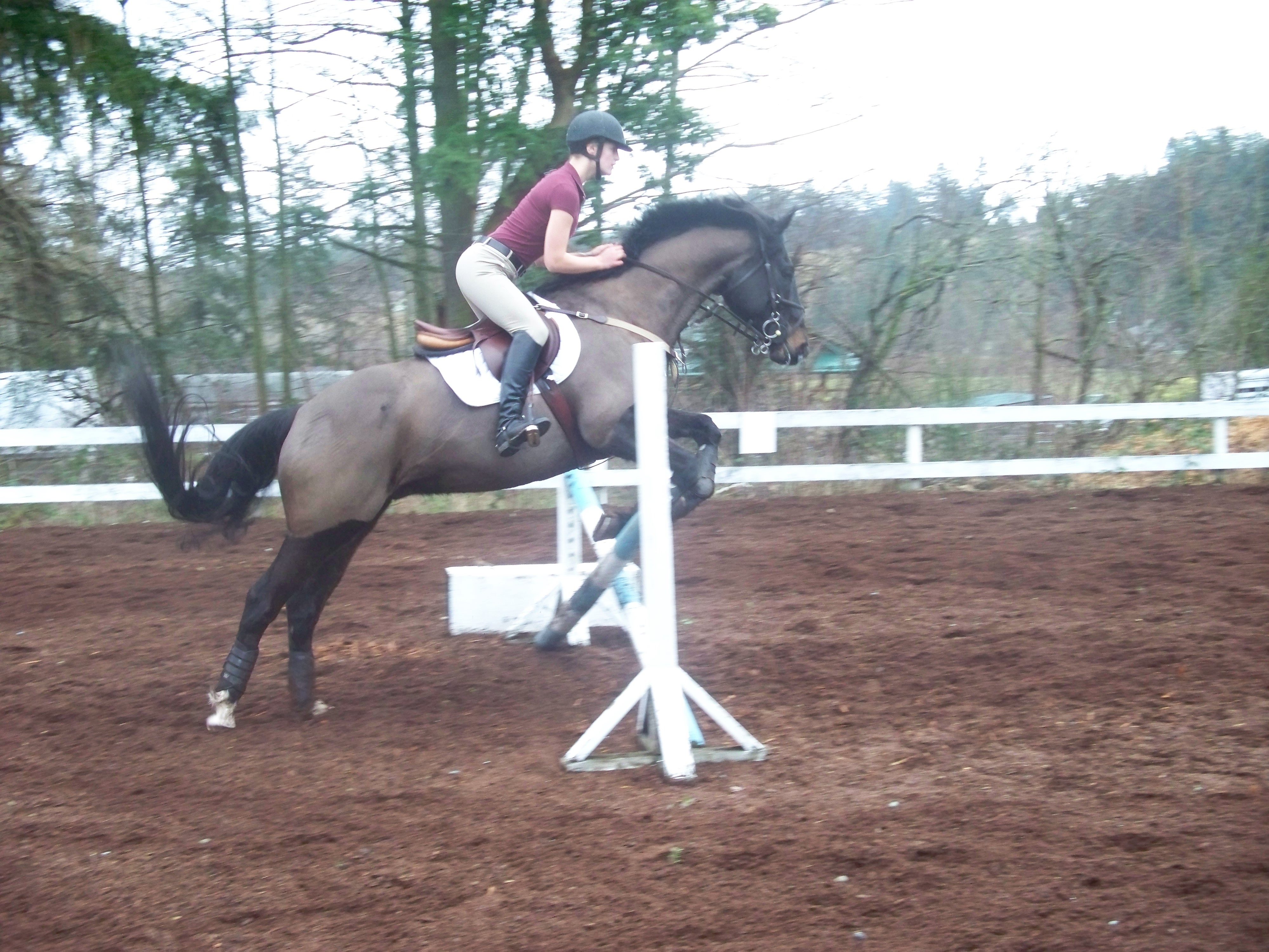 Fear in the Saddle: The Visceral Response | Horse Journals