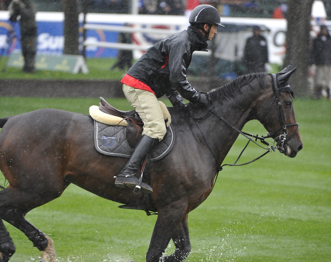 Essential Tips for Caring for Your Tack After Riding in the Rain ...