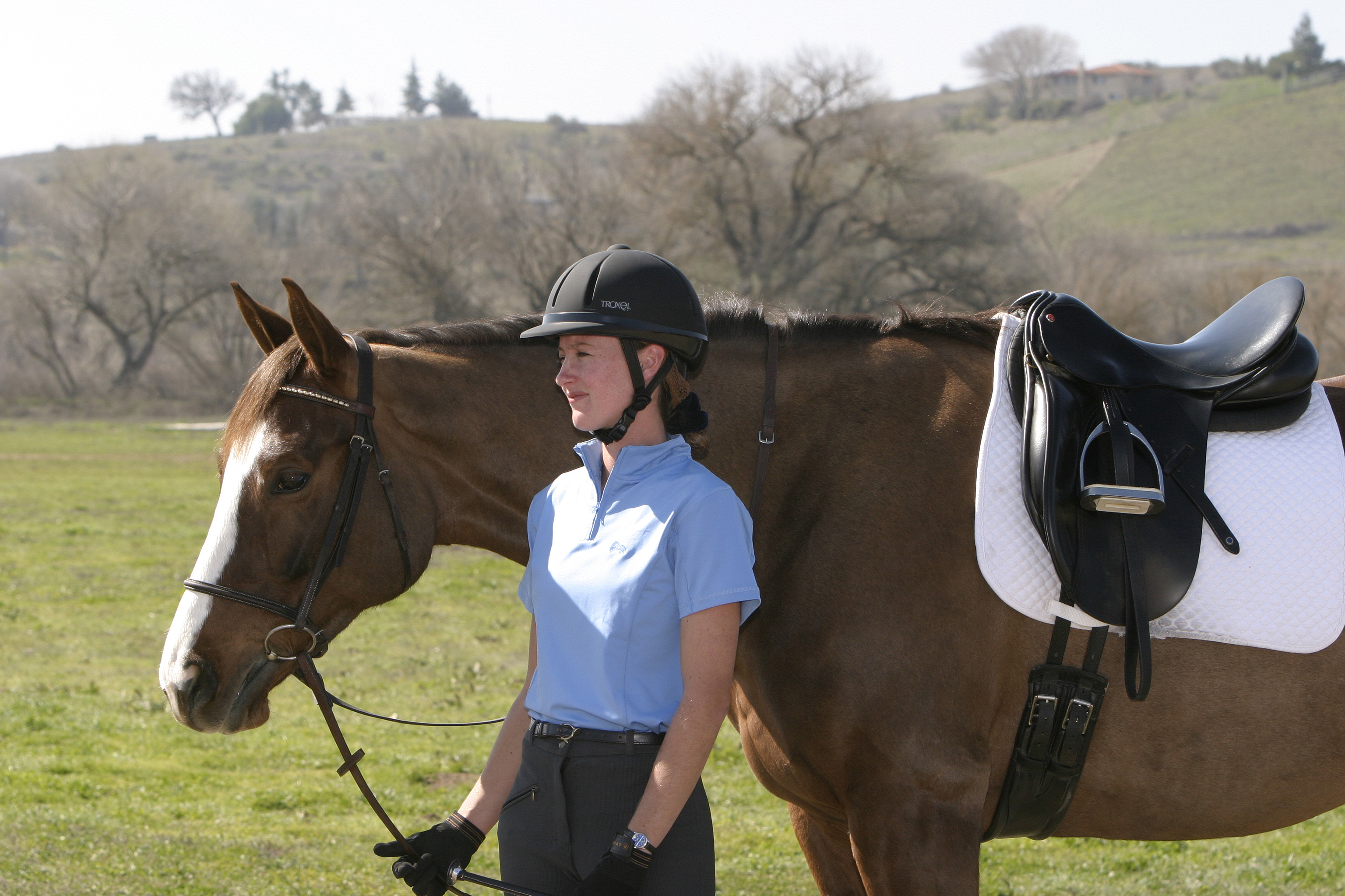 How to Make Your Horse Training Time Count | Horse Journals