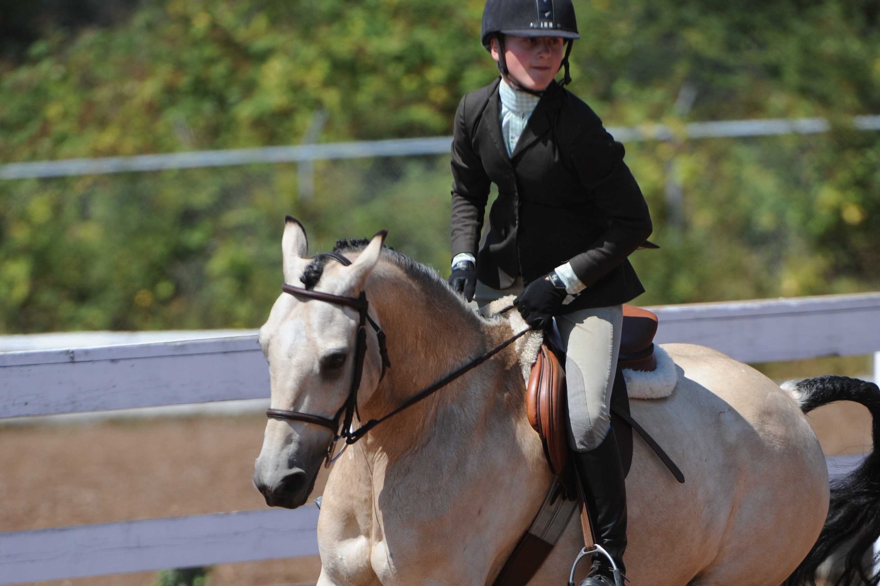How to Ride with Quiet Hands | Horse Journals