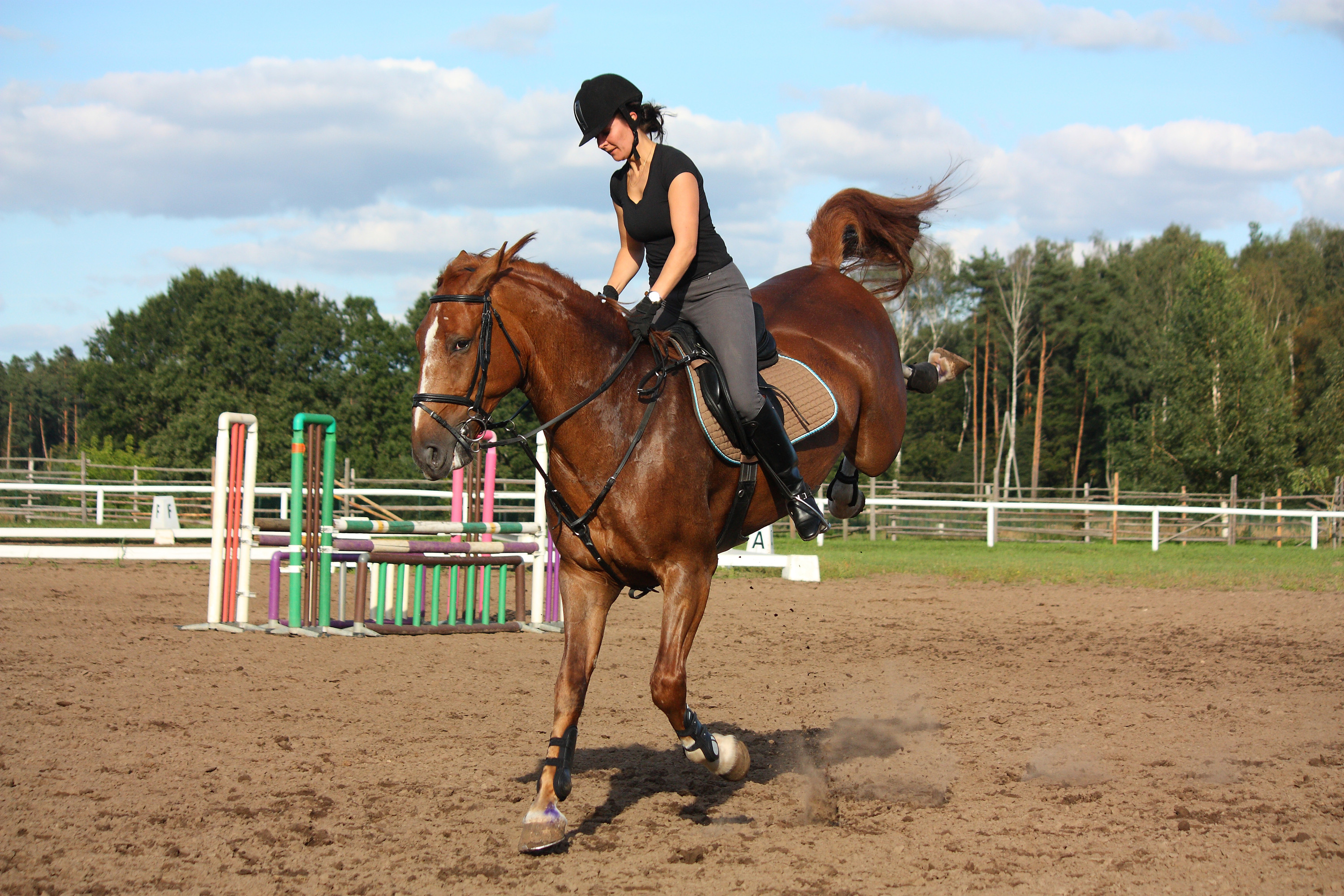 Could Your Saddle Be Causing Behaviour Problems? | Horse Journals