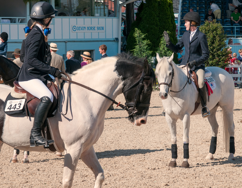 The Importance of Waivers of Liability in the Horse Industry: Ensuring ...