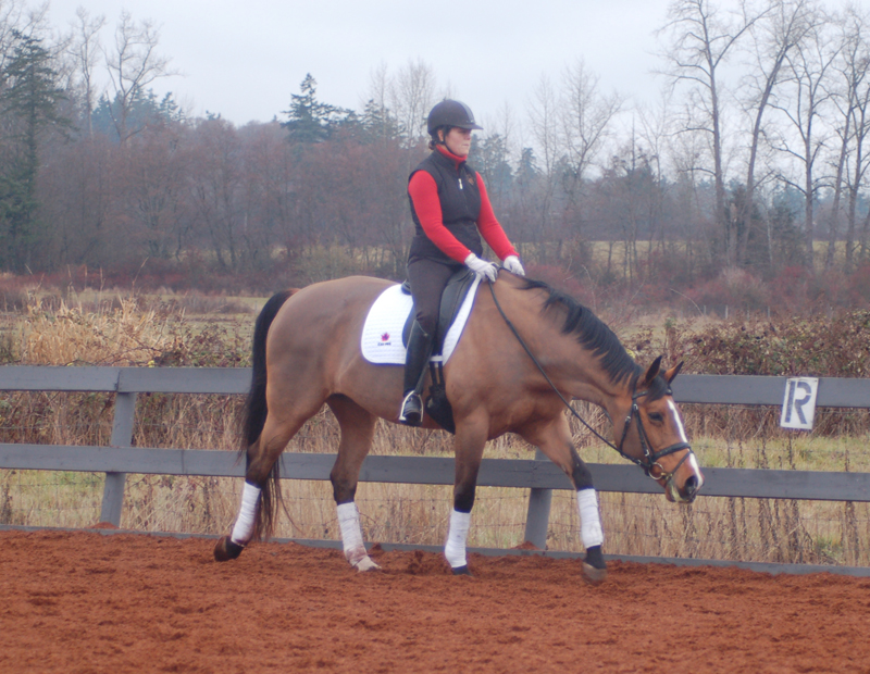 Starting Out on the Right Foot: Warm-Up Your Horse, Part 1 | Horse Journals