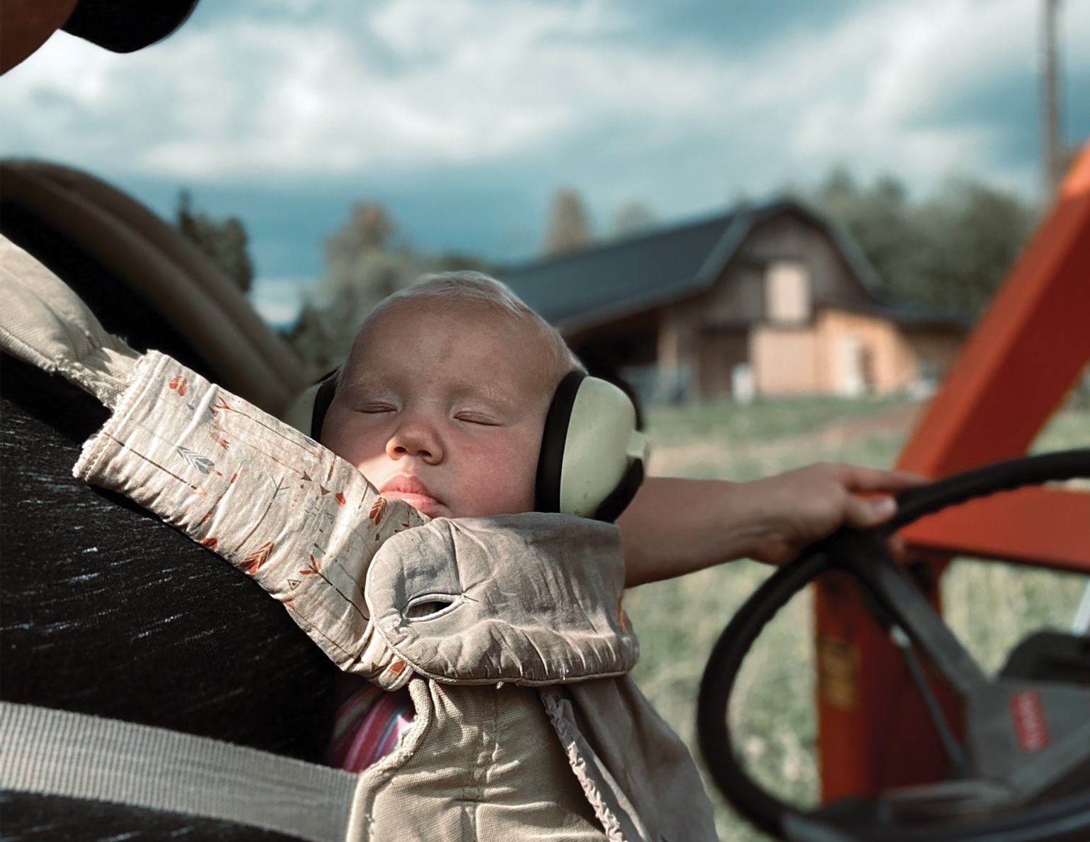 Farming and Family Life: Balancing Work and Play on Canadian Farms ...