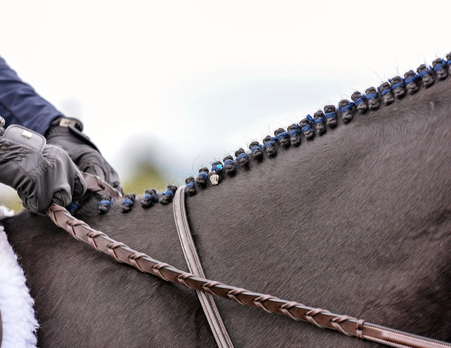Step by Step Guide to Braiding Your Horse's Mane and Tail | Horse Journals
