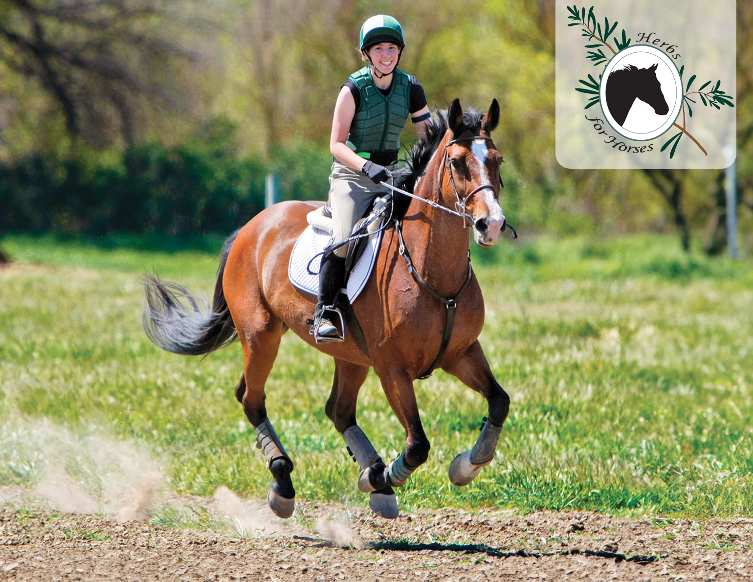 ProbioPLUS™ From Herbs for Horses | Horse Journals