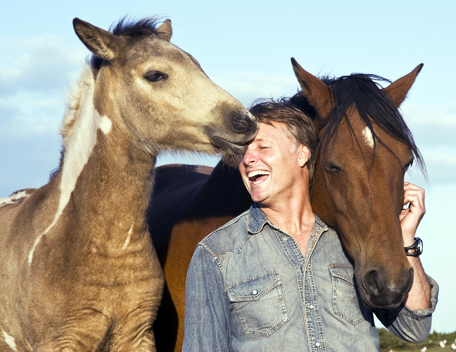 Long-Term Horse-Owner Relationship Helps Horses Cope With Change ...