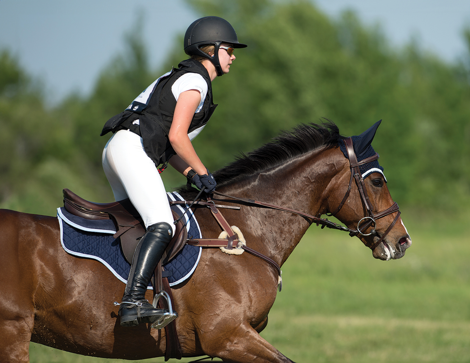 The Horse Rider’s Hips: A Building Block for Effective Communication ...