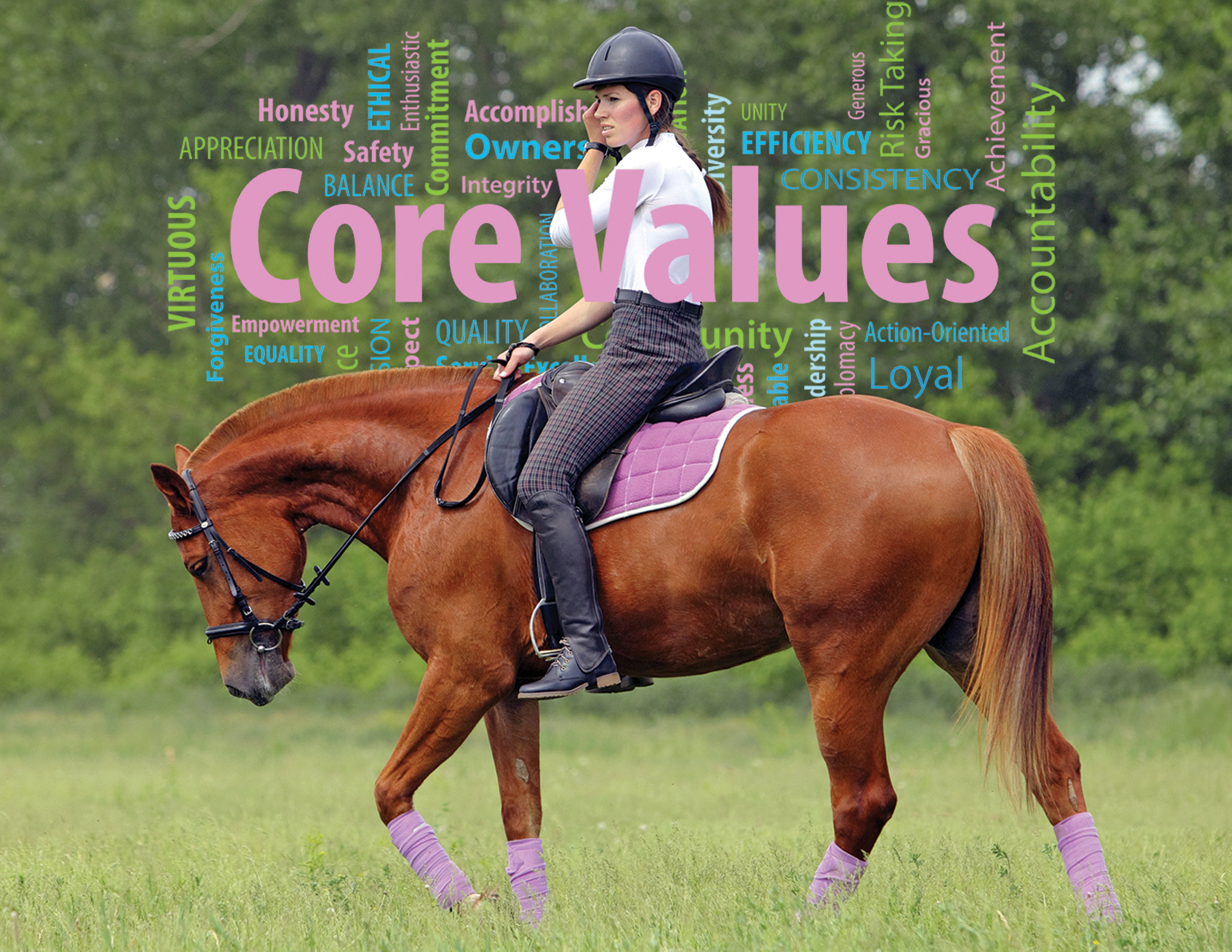 High Performance Values for Equestrians | Horse Journals