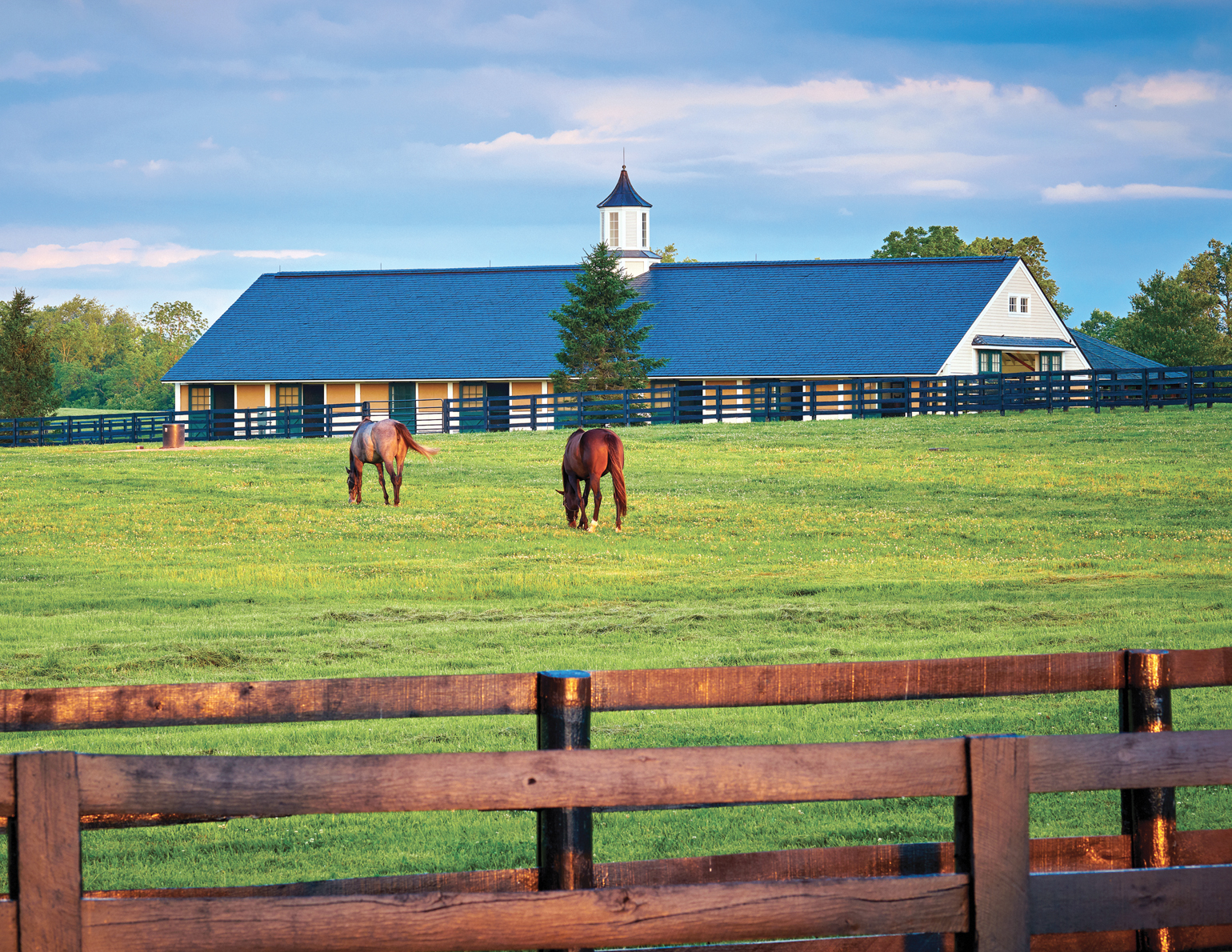 10 Tips To Help You Build A Better Barn Business | Horse Journals