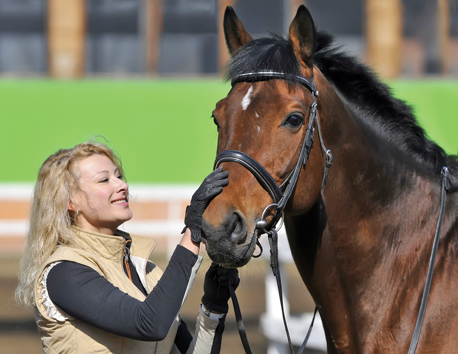 Equine Boarding School | Horse Journals
