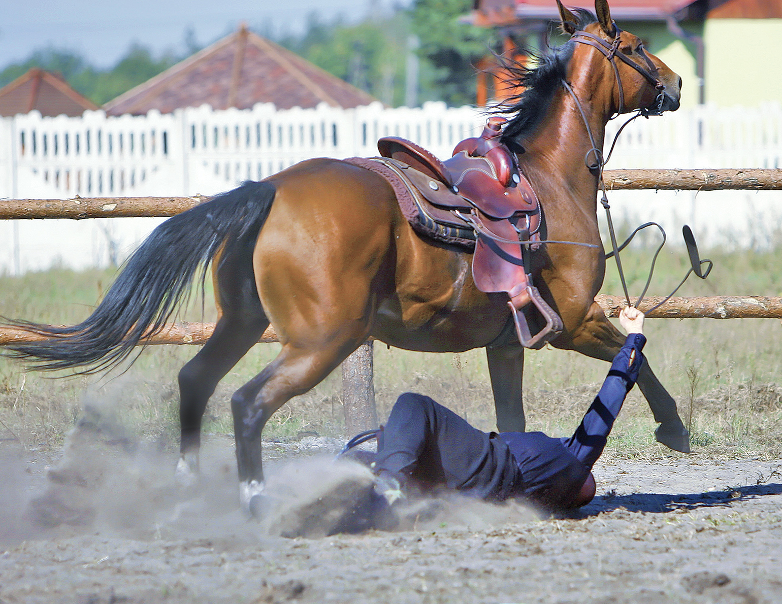 Have you ever had a riding accident where you fell off your horse, or ...