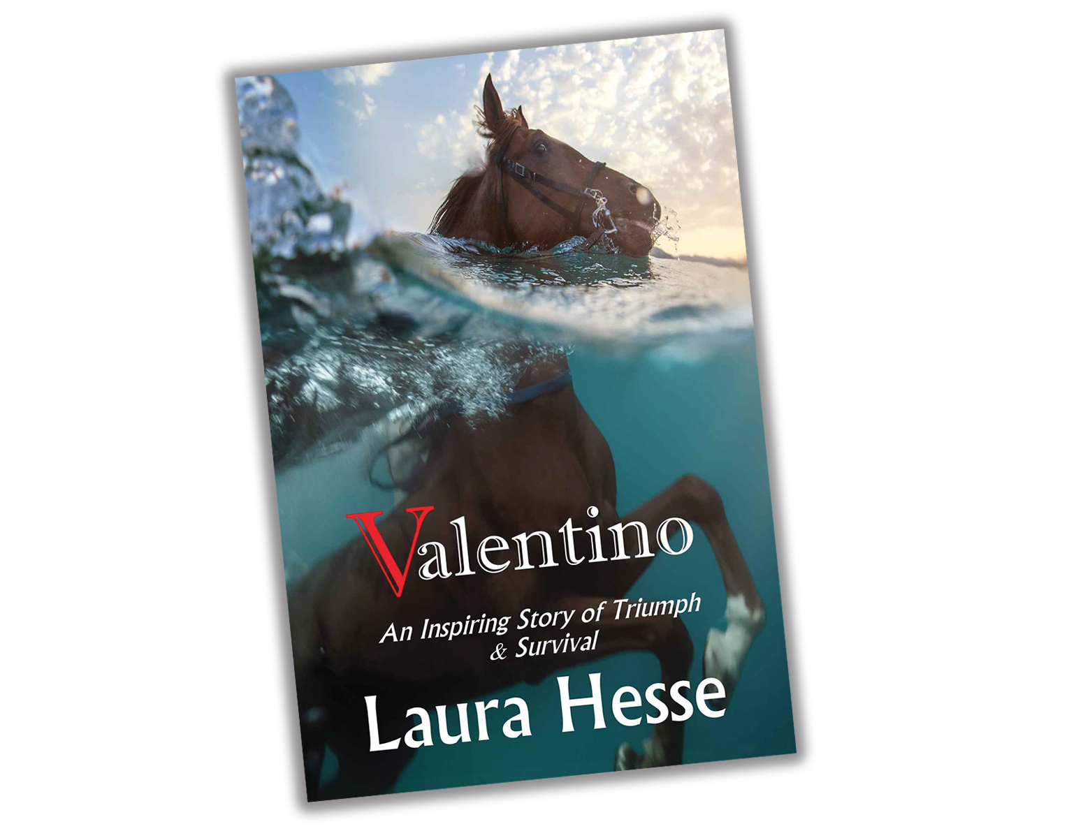 Book Review: Valentino | Horse Journals