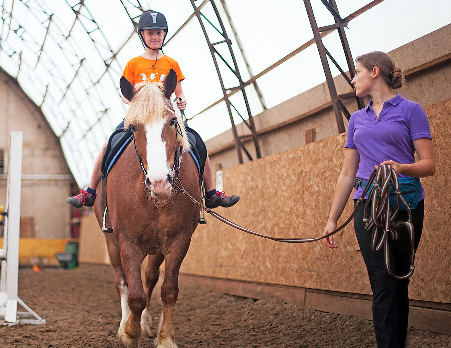 Equine Welfare Research Study | Horse Journals